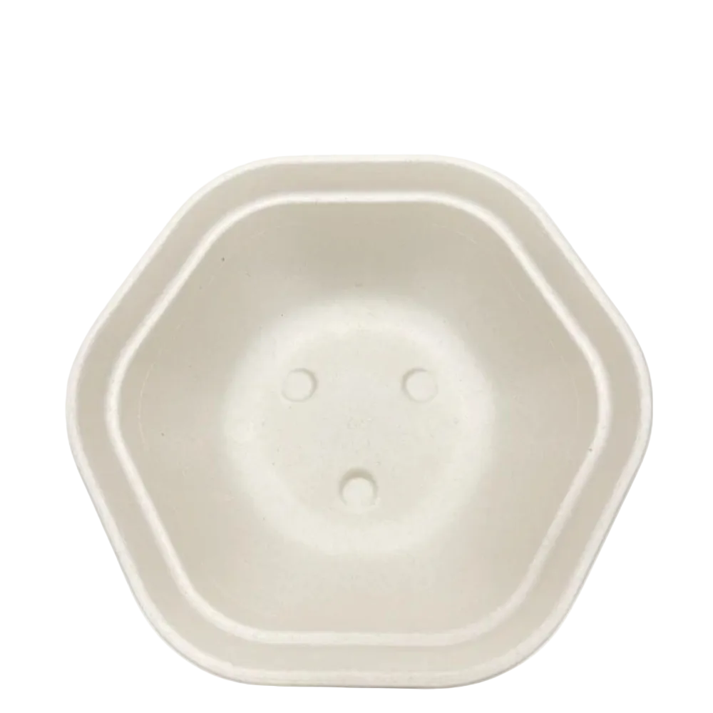 38 OZ HEXAGON BAGASSE BOWL 400CT — P Plus Packaging